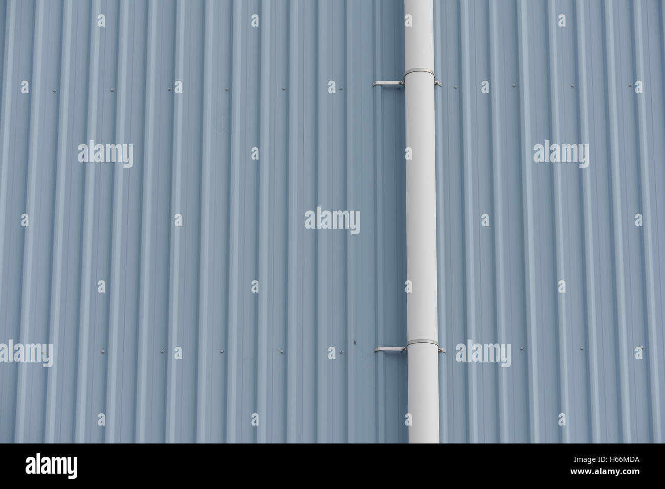Plastic rain water pipe attached to corrugated sheet metal wall Stock ...