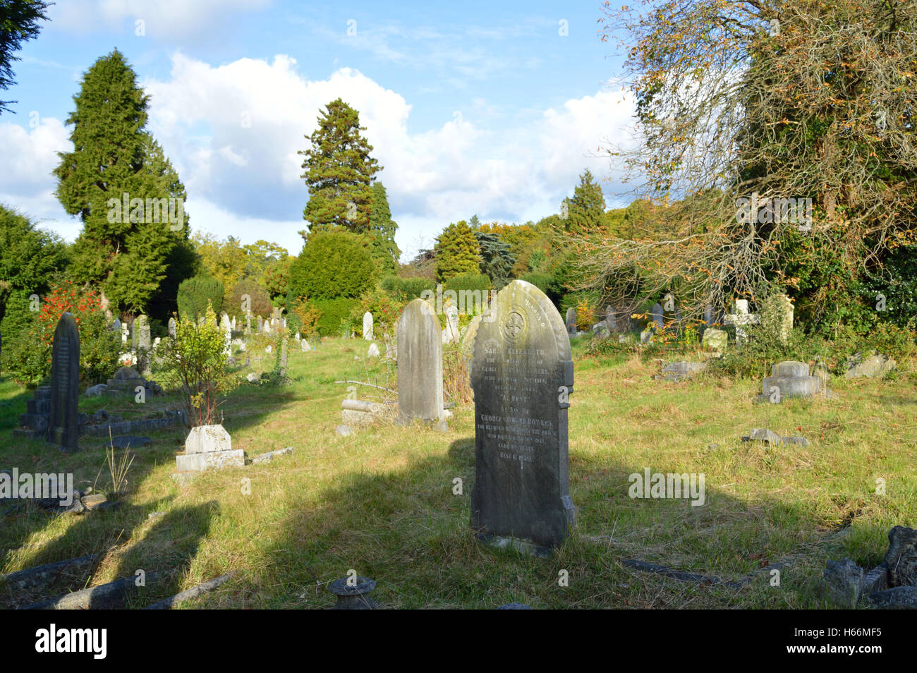 Old abandoned graves dating back to the 19th century on the Old ...