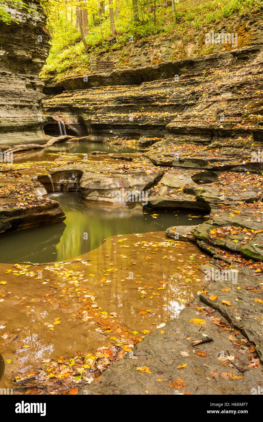 Rounded water-carved rock formations surrounded by a coating of leaves ...
