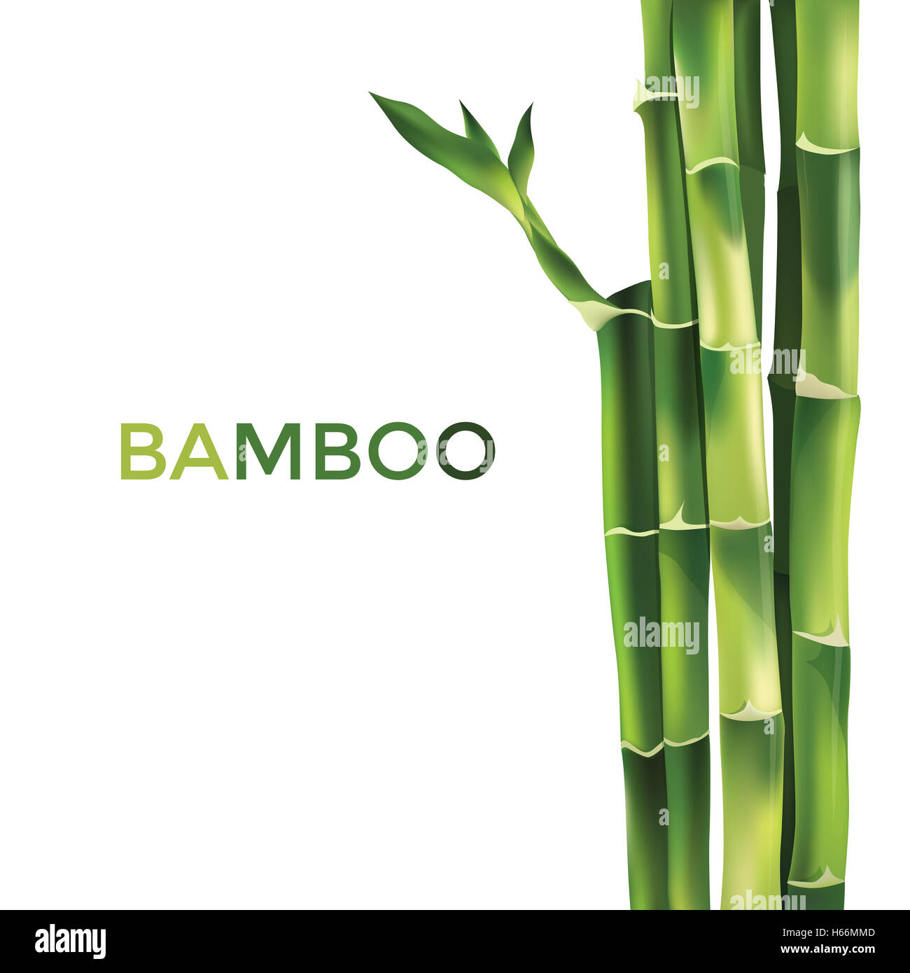 Floral bamboo Cut Out Stock Images & Pictures - Alamy