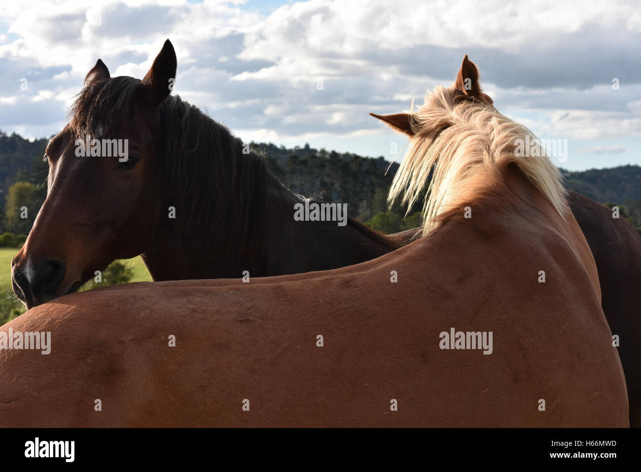 Familiarity hi-res stock photography and images - Alamy