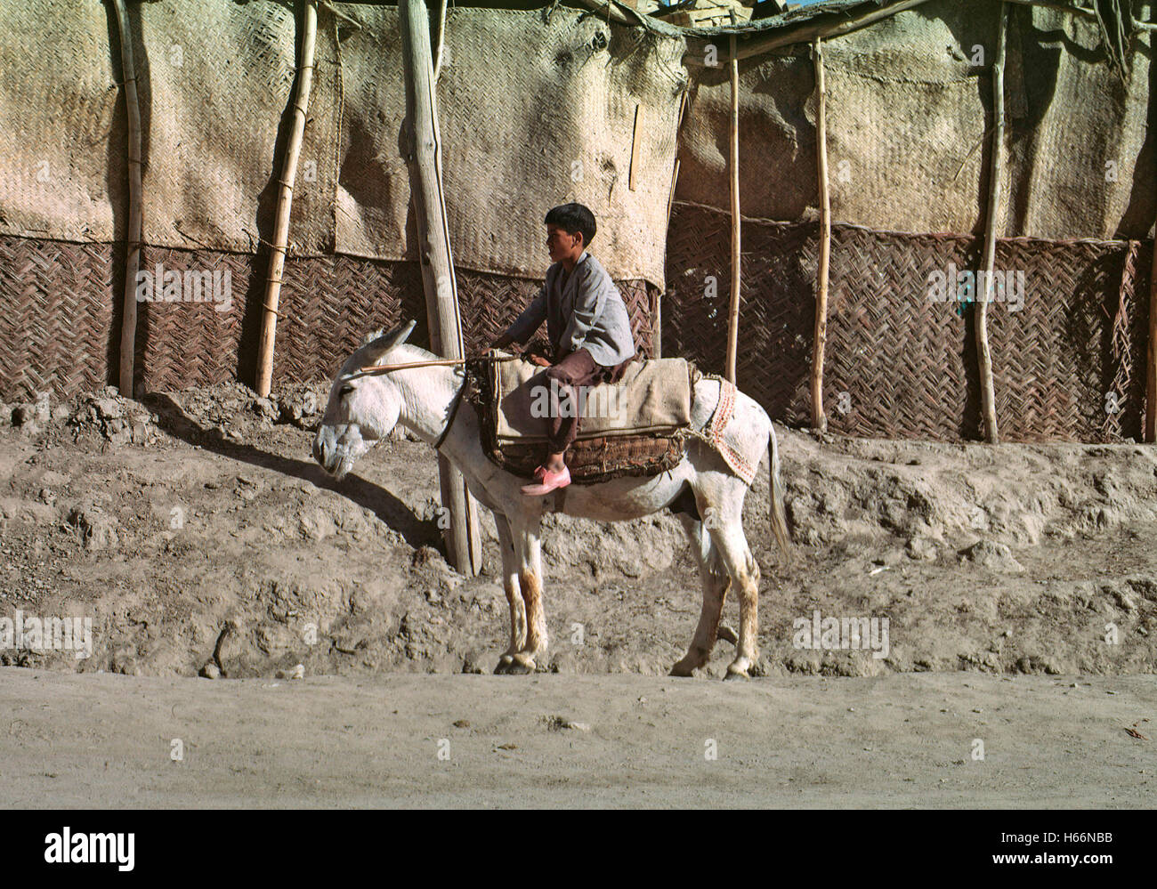 Donkey rider hi-res stock photography and images - Alamy