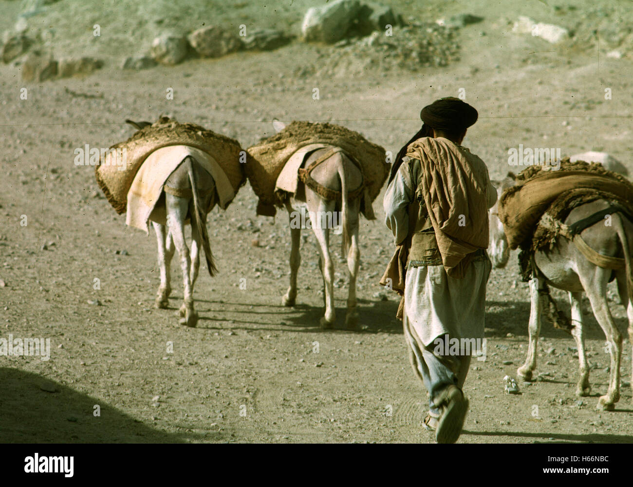 Donkey rider hi-res stock photography and images - Alamy
