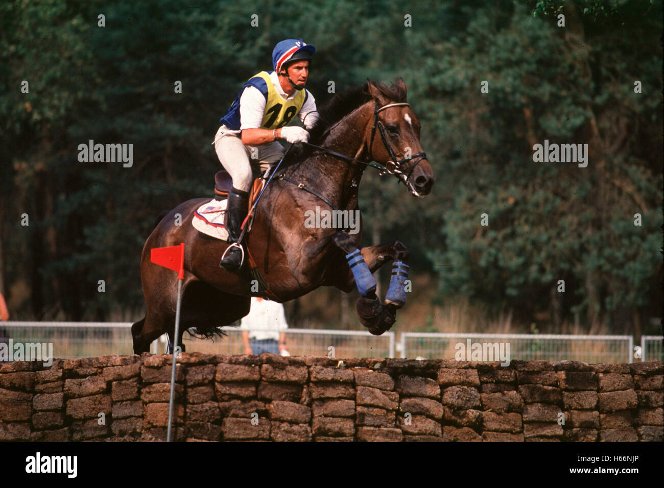 World Equestrian Games, The Hague, 1994, David O'Connor (USA) riding On ...