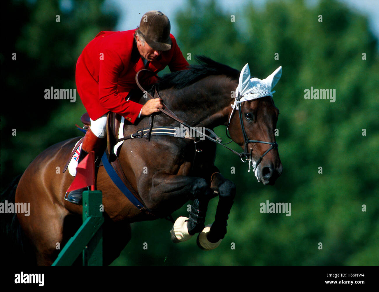 David broome equestrian hi-res stock photography and images - Alamy