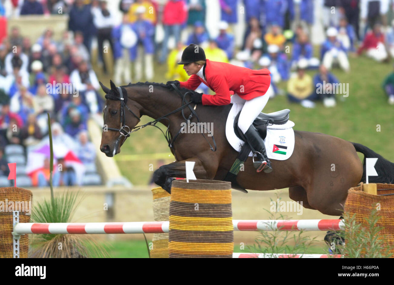 Princess haya horse hi-res stock photography and images - Alamy