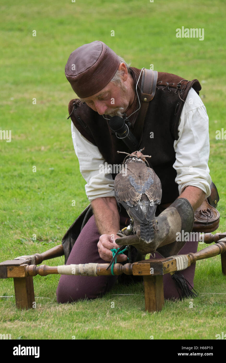 Medieval falconry england hi-res stock photography and images - Alamy