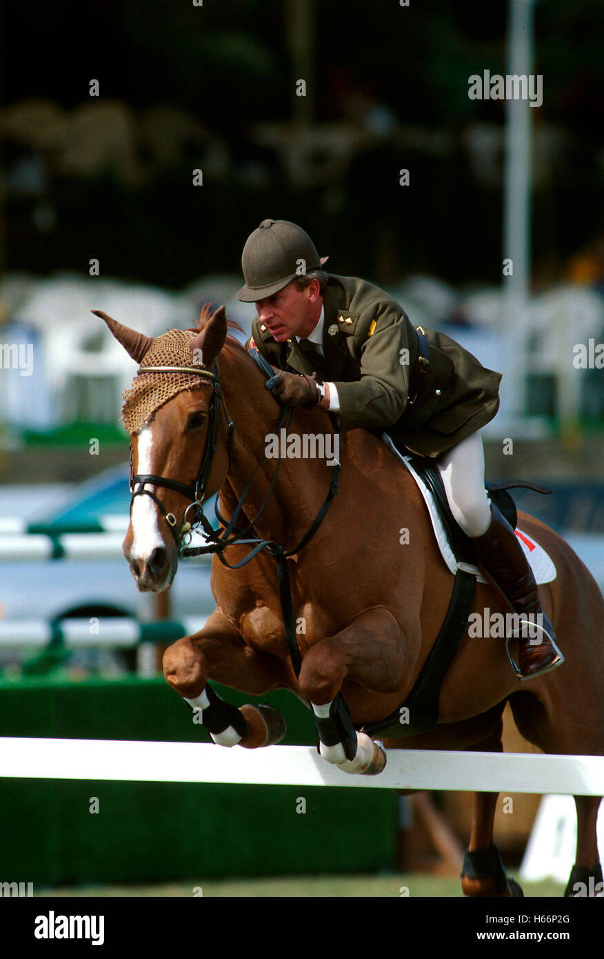 CSI Monterrey October 1997, Capt. John Ledingham (IRE) riding ...