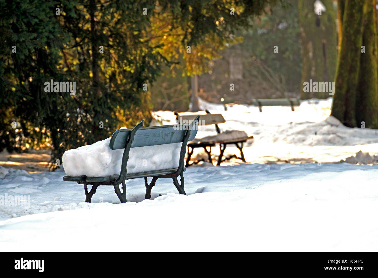 Snowy bench hi-res stock photography and images - Alamy