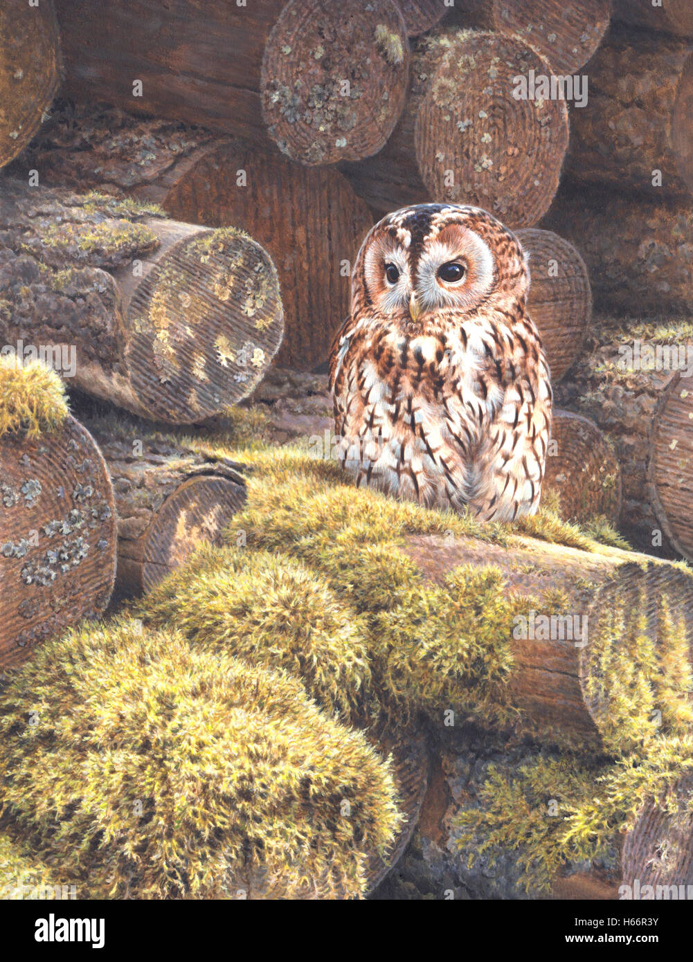 Log art hi-res stock photography and images - Alamy