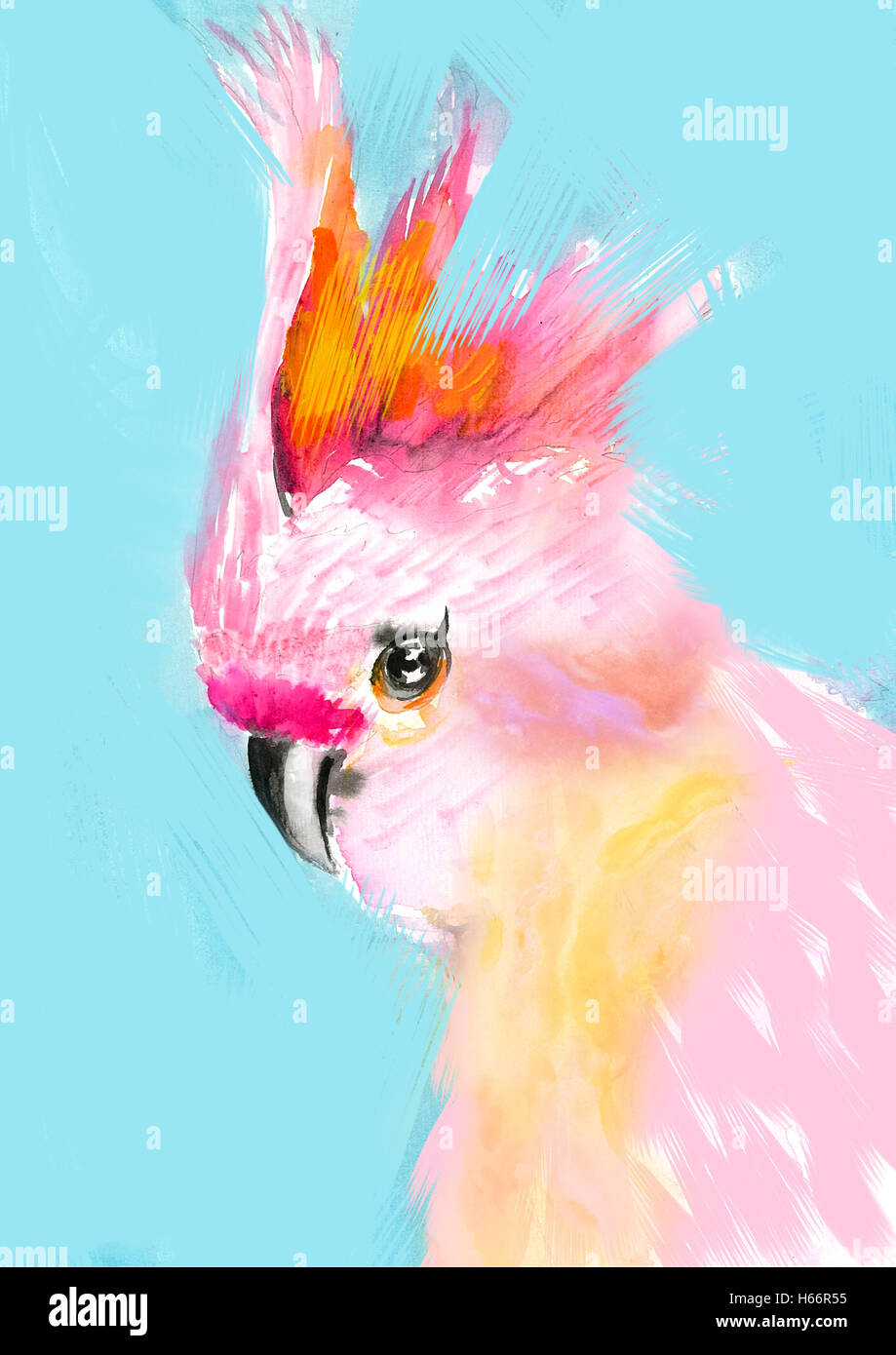 Pink cockatoo image hi-res stock photography and images - Alamy