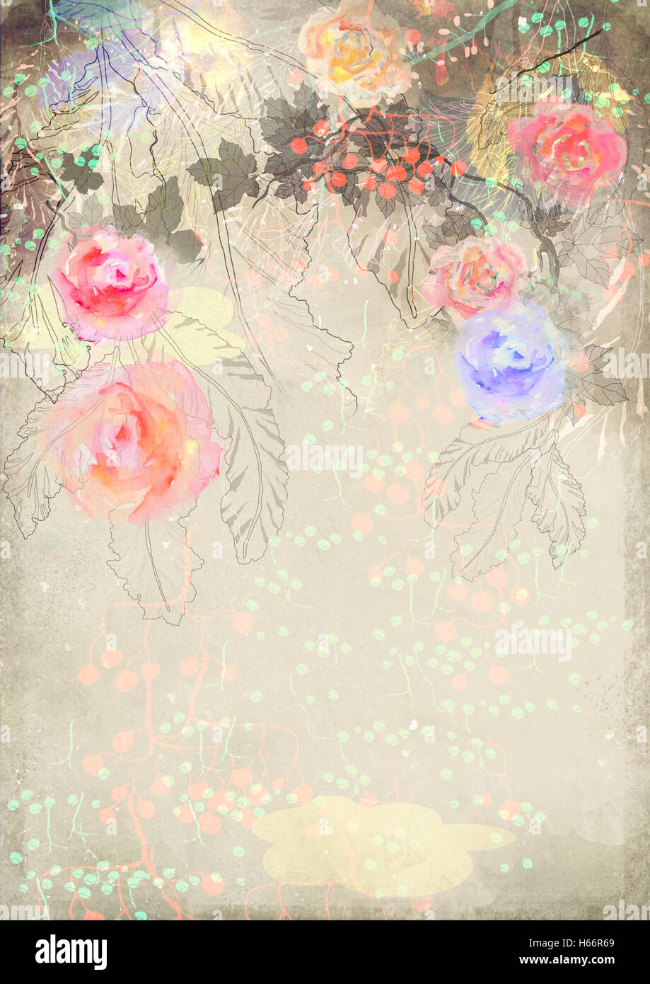 Variation of roses Stock Photo - Alamy