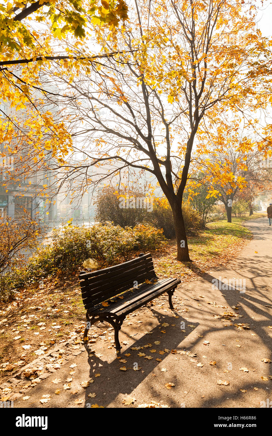 empty park in early fall, note shallow depth of field Stock Photo - Alamy
