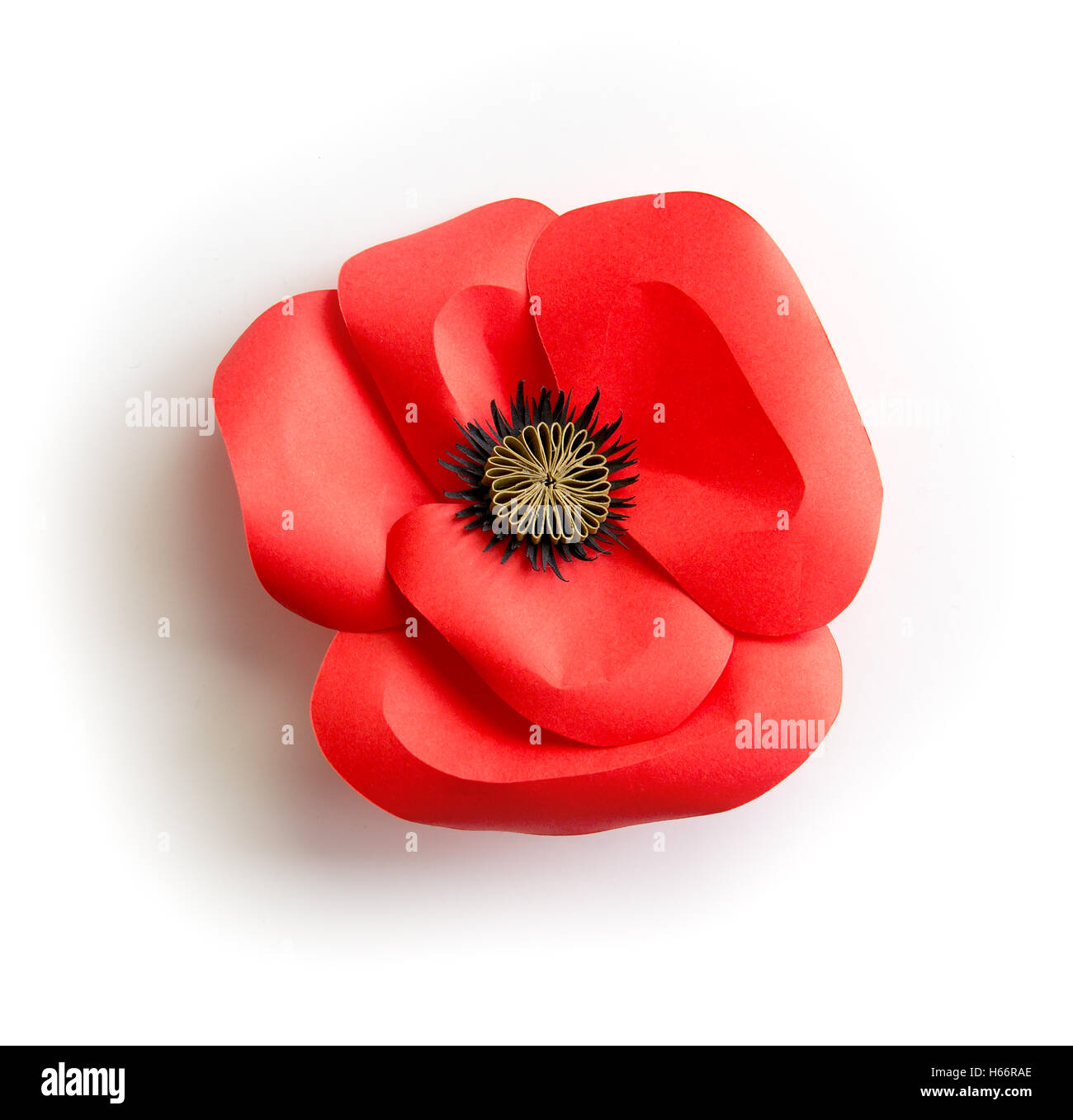 Artistic flower compositions hi-res stock photography and images - Alamy