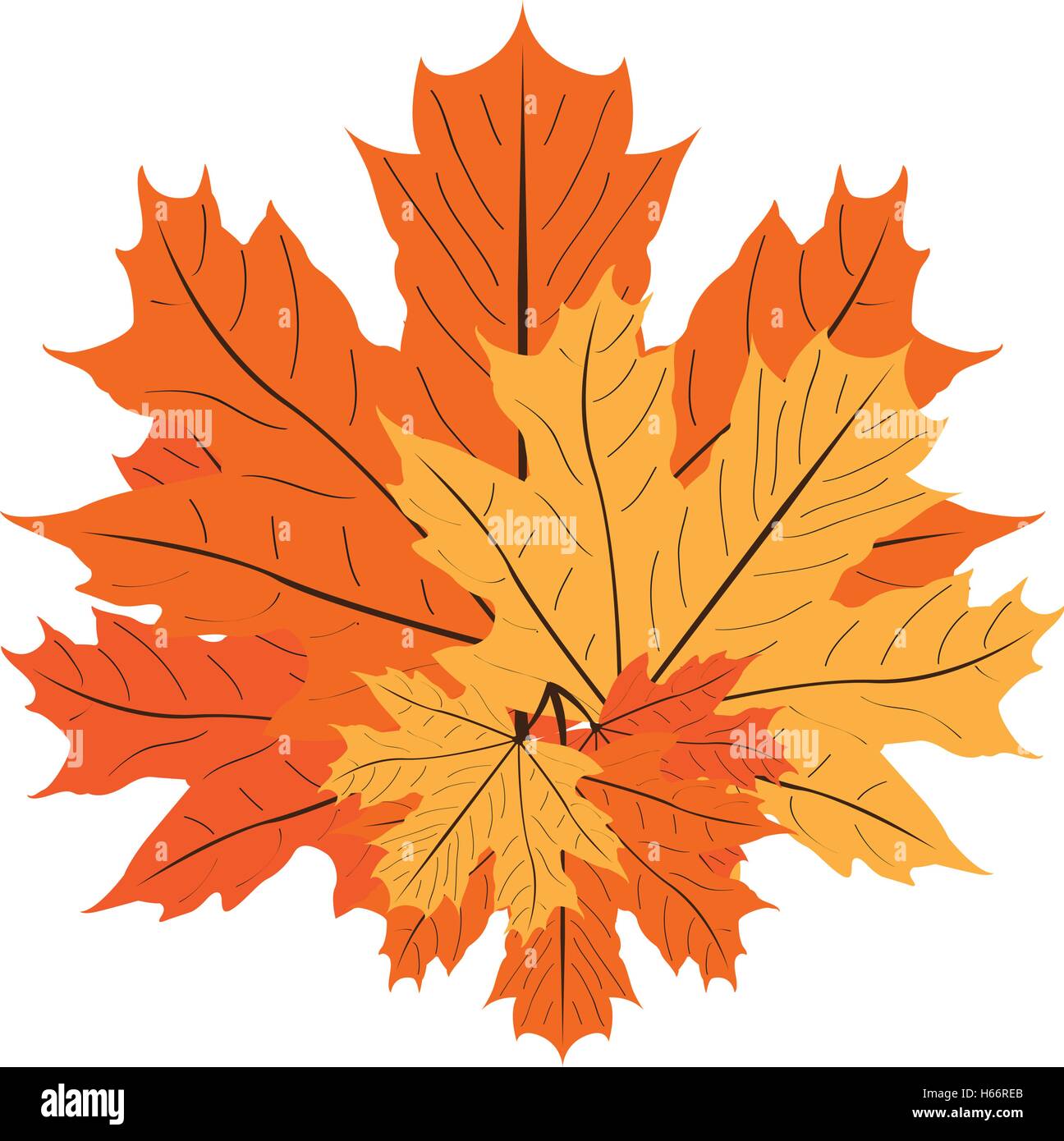 Isolated group of leaves, Thanksgiving day vector illustration Stock ...