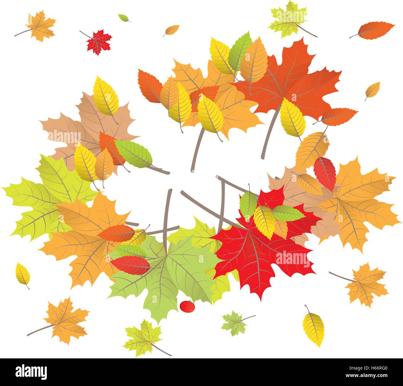 Isolated group of colored leaves, Thanksgiving day vector illustration ...