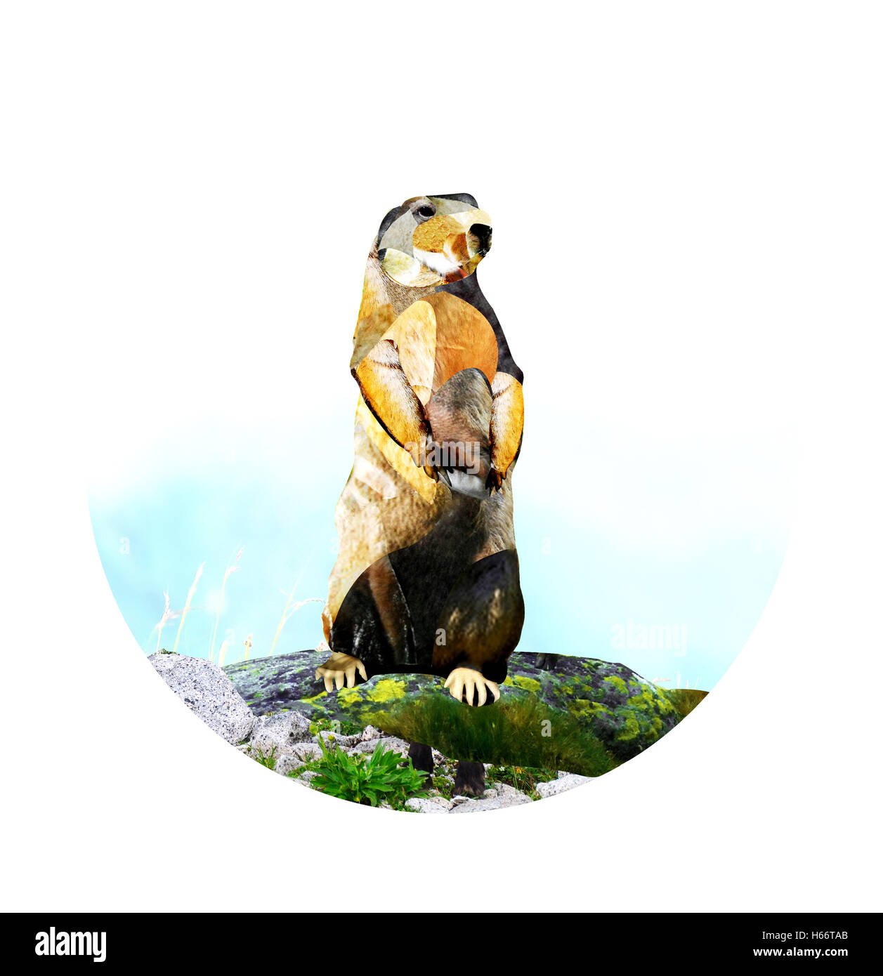 Rock theme hi-res stock photography and images - Alamy