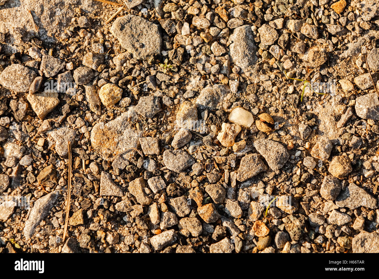 detail of forest stone trails in nature, note shallow depth of field ...