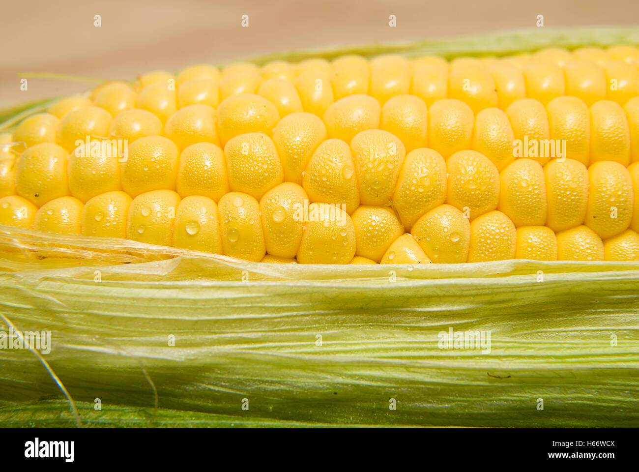 The seeds fruit of the corn. Closeup Stock Photo - Alamy