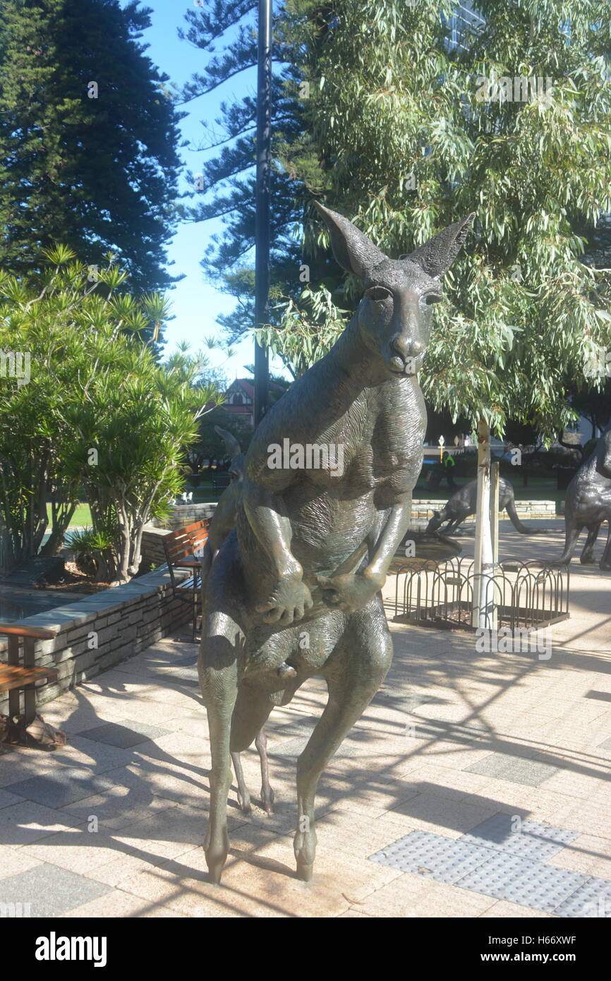 Tall trees western australia hi-res stock photography and images - Alamy