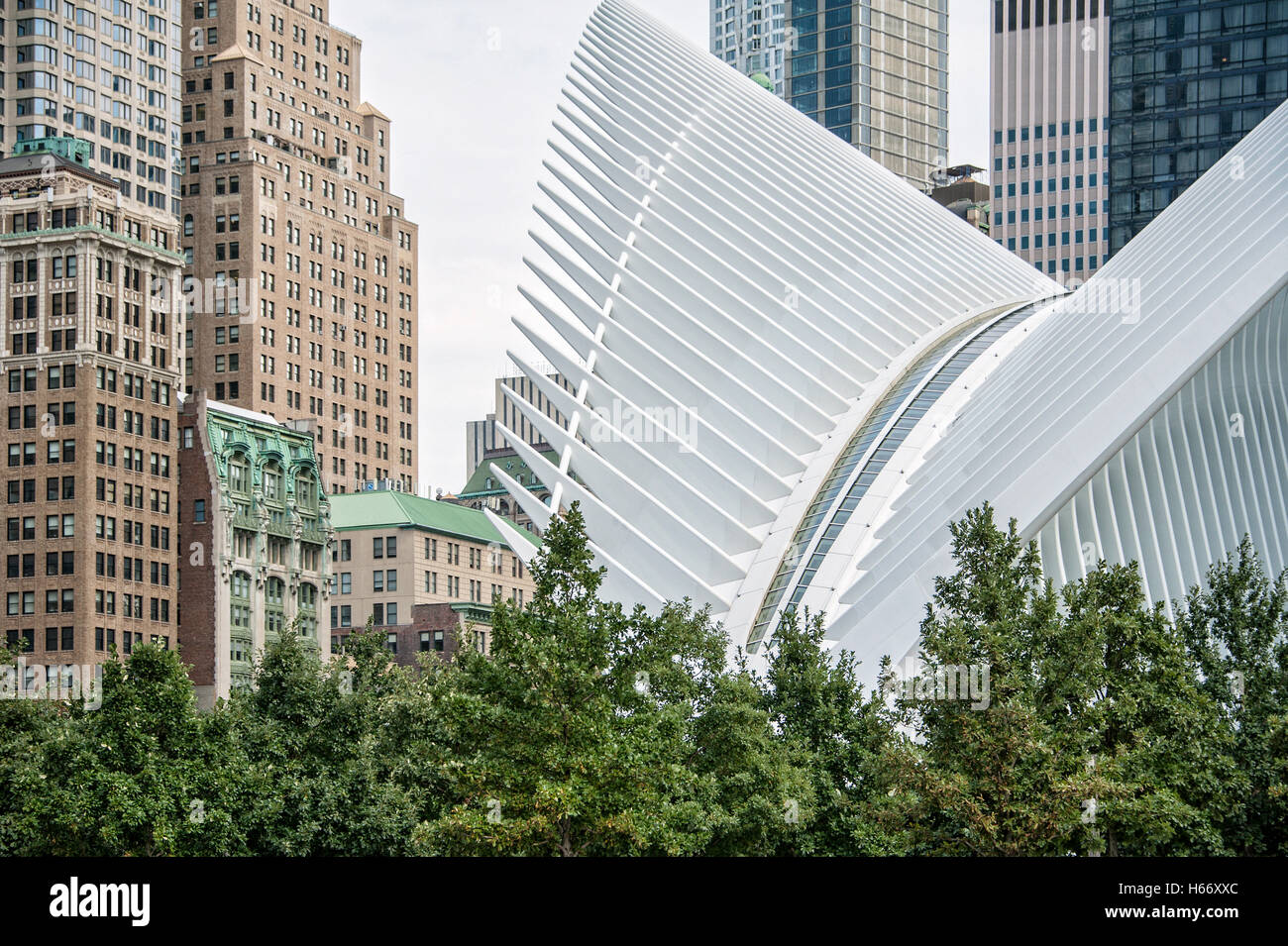 The Oculus World Trade Center Transportation Hub designed by architect ...