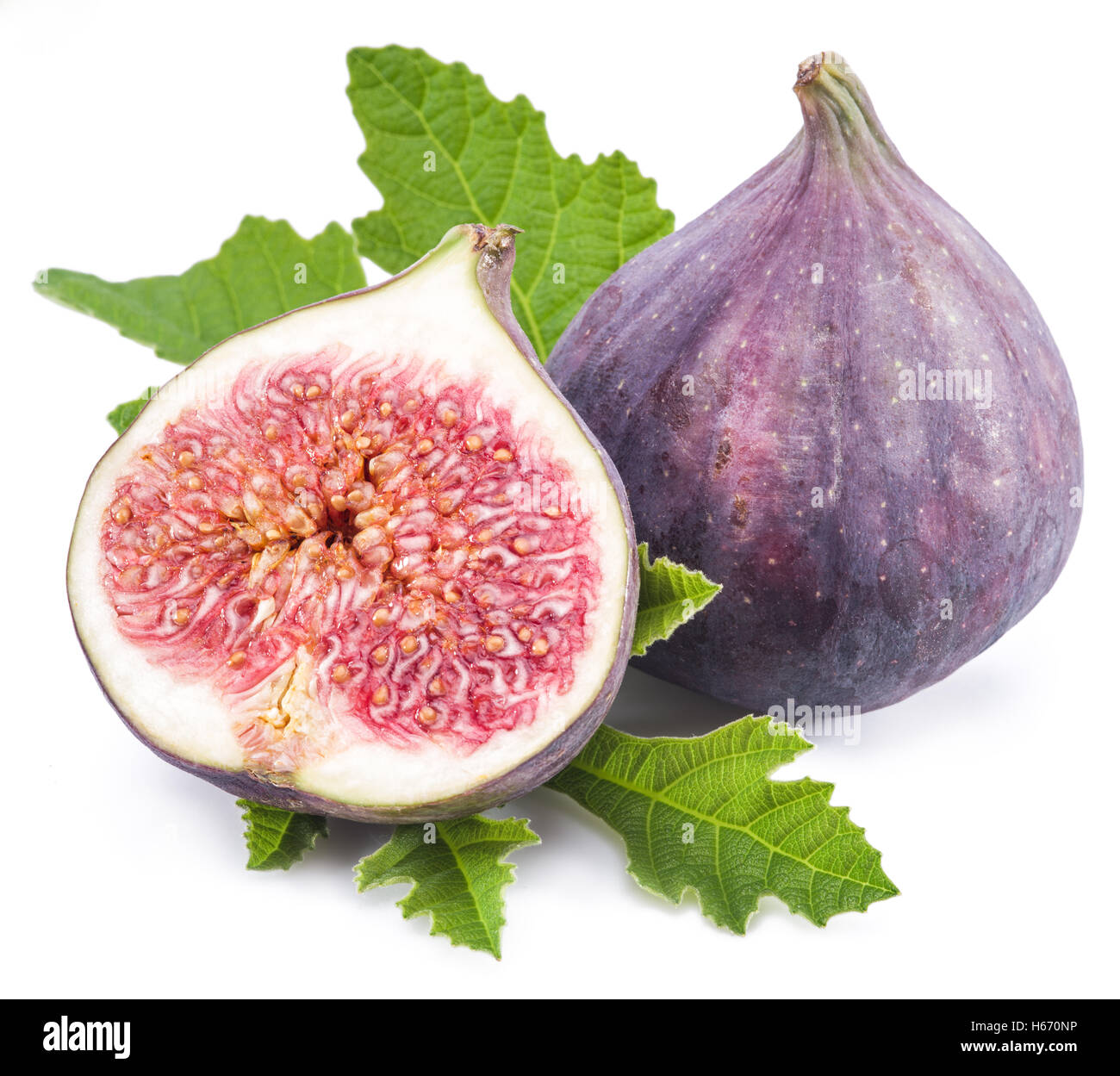 Ripe fig fruits on the white background Stock Photo - Alamy