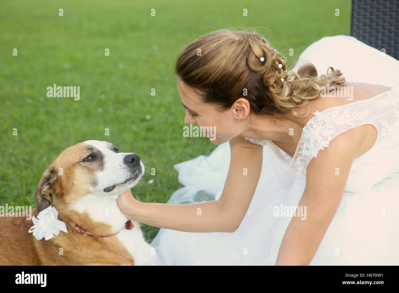 pretty bride has fun while she plays with a dog Stock Photo - Alamy