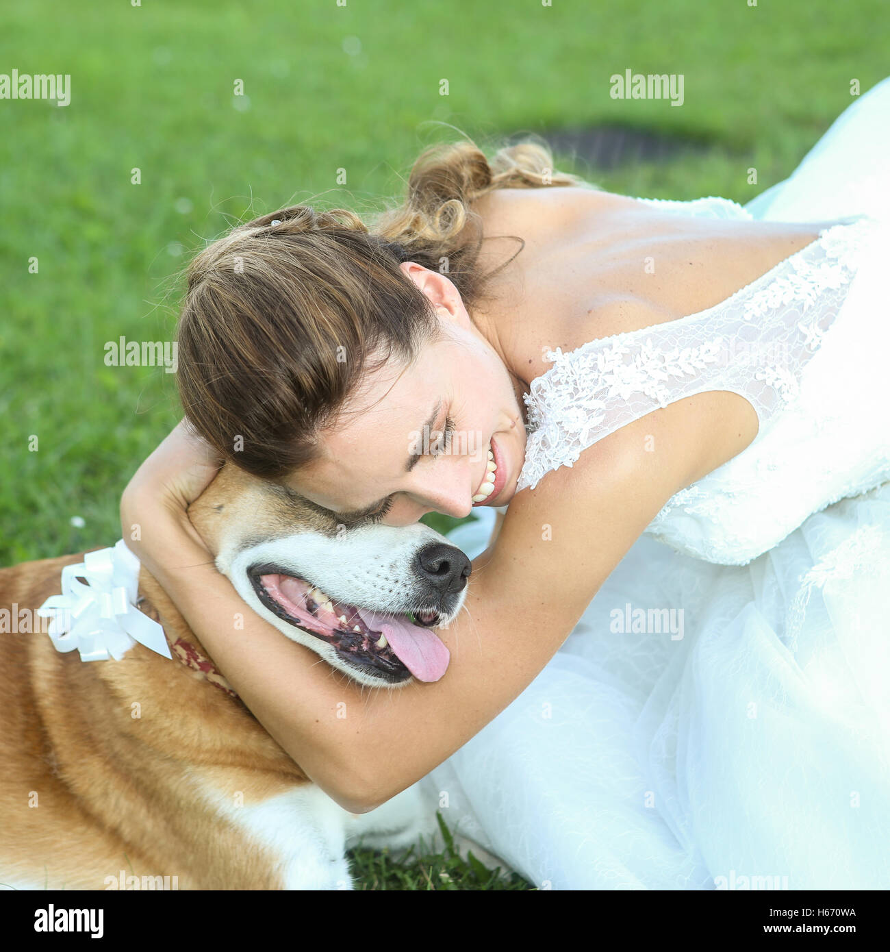 pretty bride has fun while she plays with a dog Stock Photo - Alamy