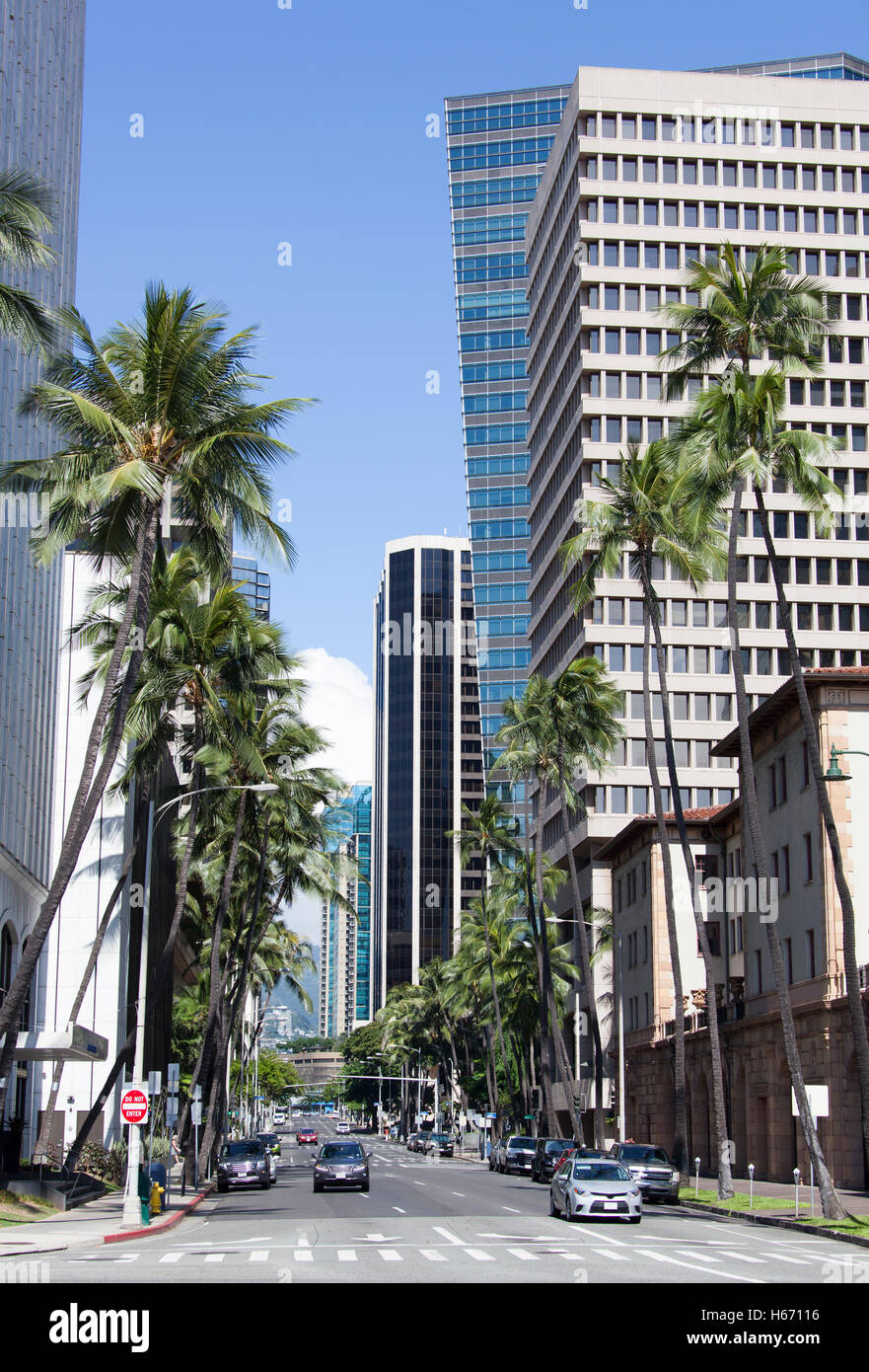 The view of straight street with tall palms in Honolulu downtown ...