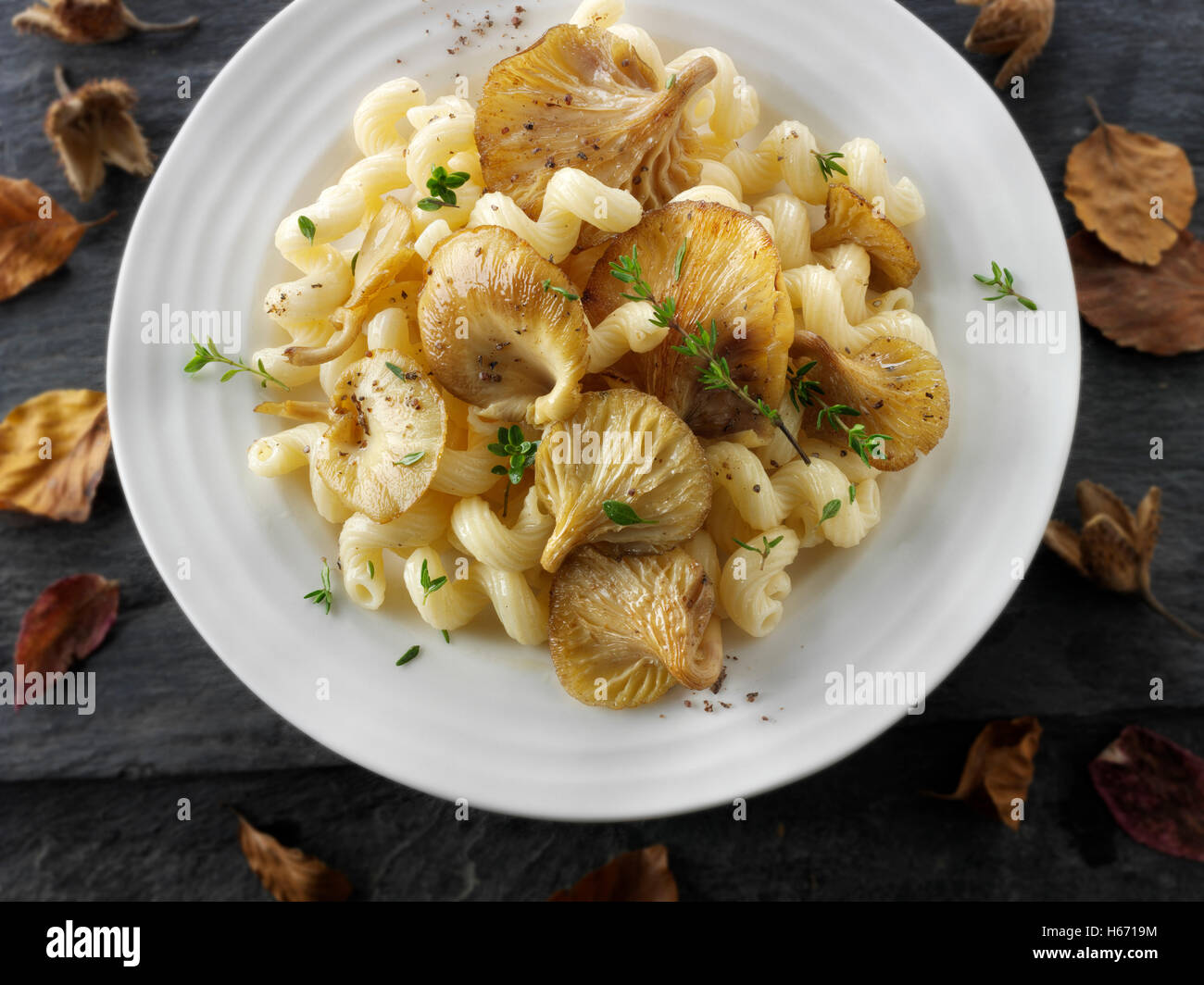 Sauteed Yellow Oyster mushroom with Cavatappi pasta also known as ...