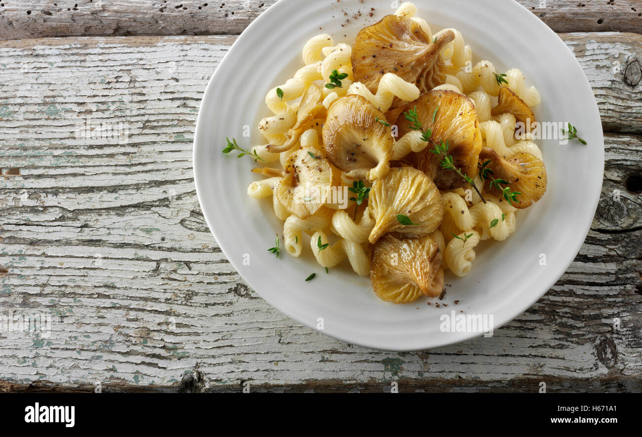 Sauteed Yellow Oyster mushroom with Cavatappi pasta also known as ...