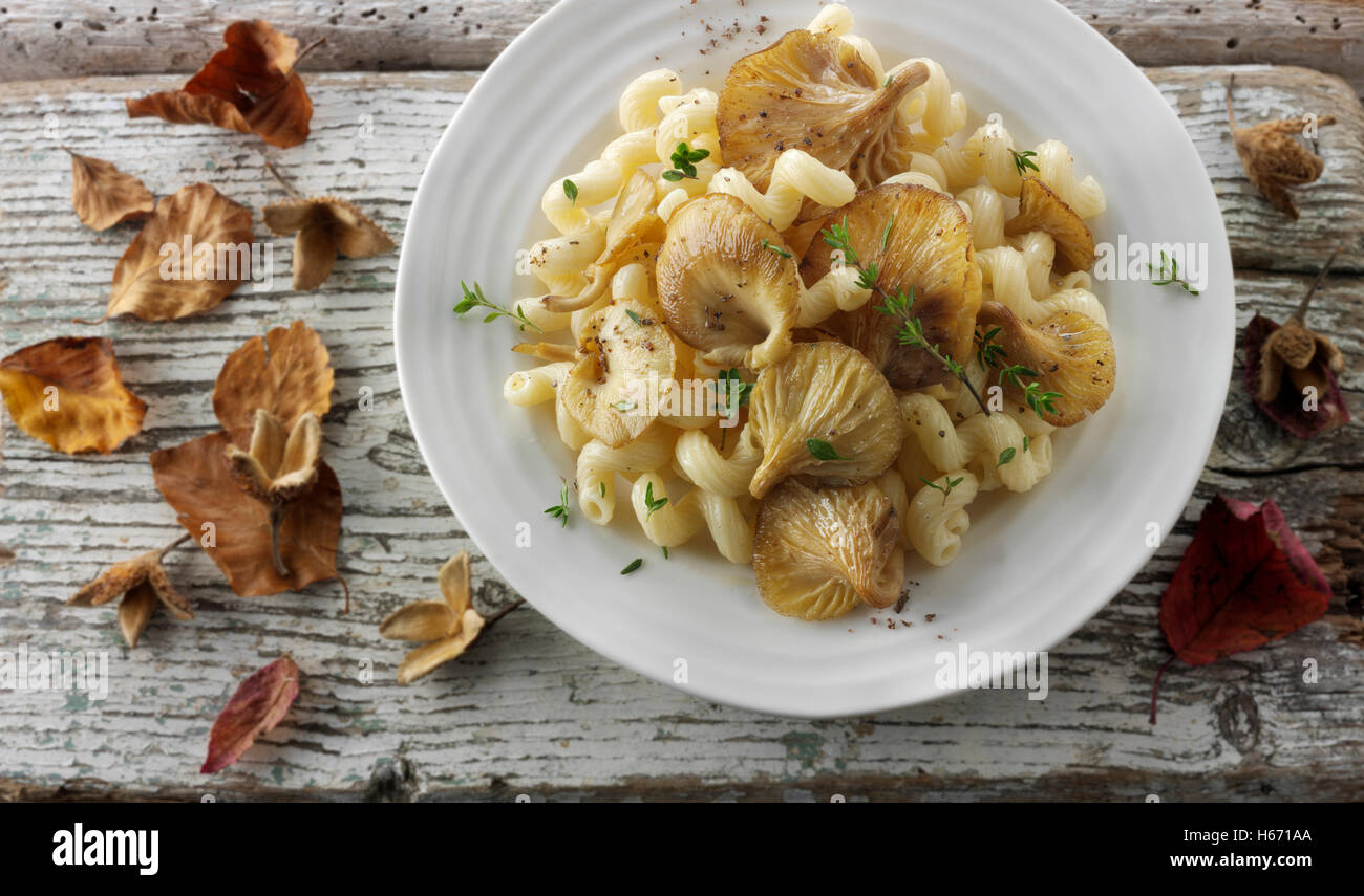 Sauteed Yellow Oyster mushroom with Cavatappi pasta also known as ...
