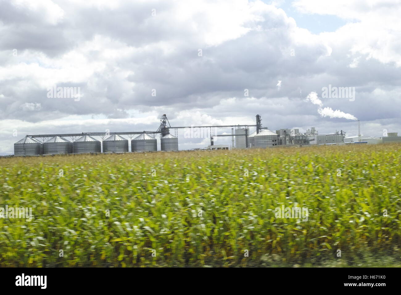 Sugar refinery production process hi-res stock photography and images ...
