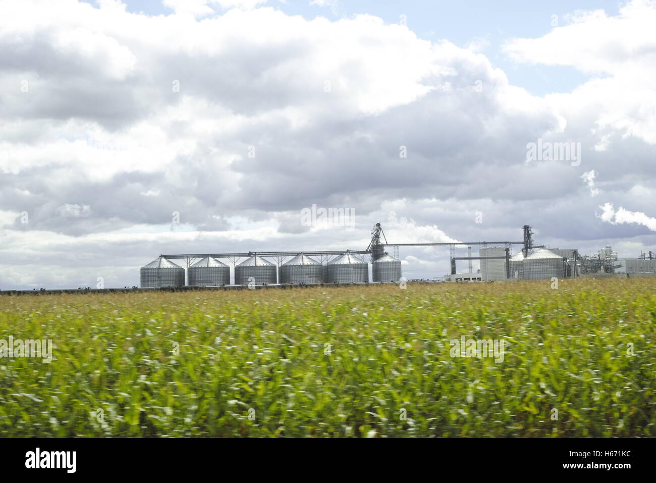 Refinery process hi-res stock photography and images - Alamy