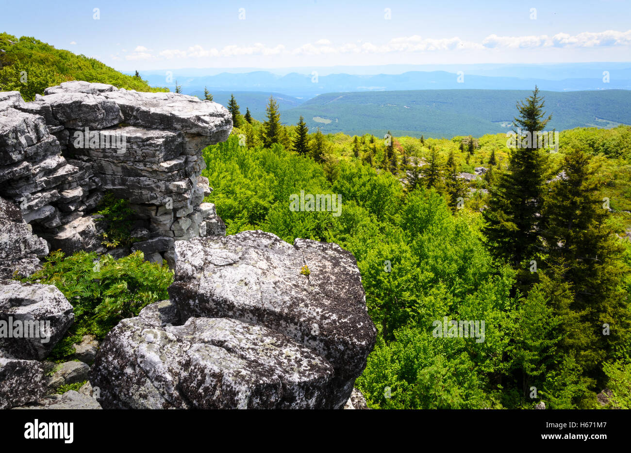 Bear Rocks Preserve Stock Photo - Alamy