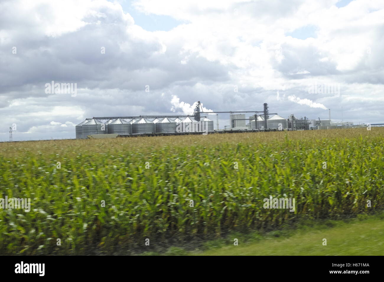 Sugar refinery production process hi-res stock photography and images ...