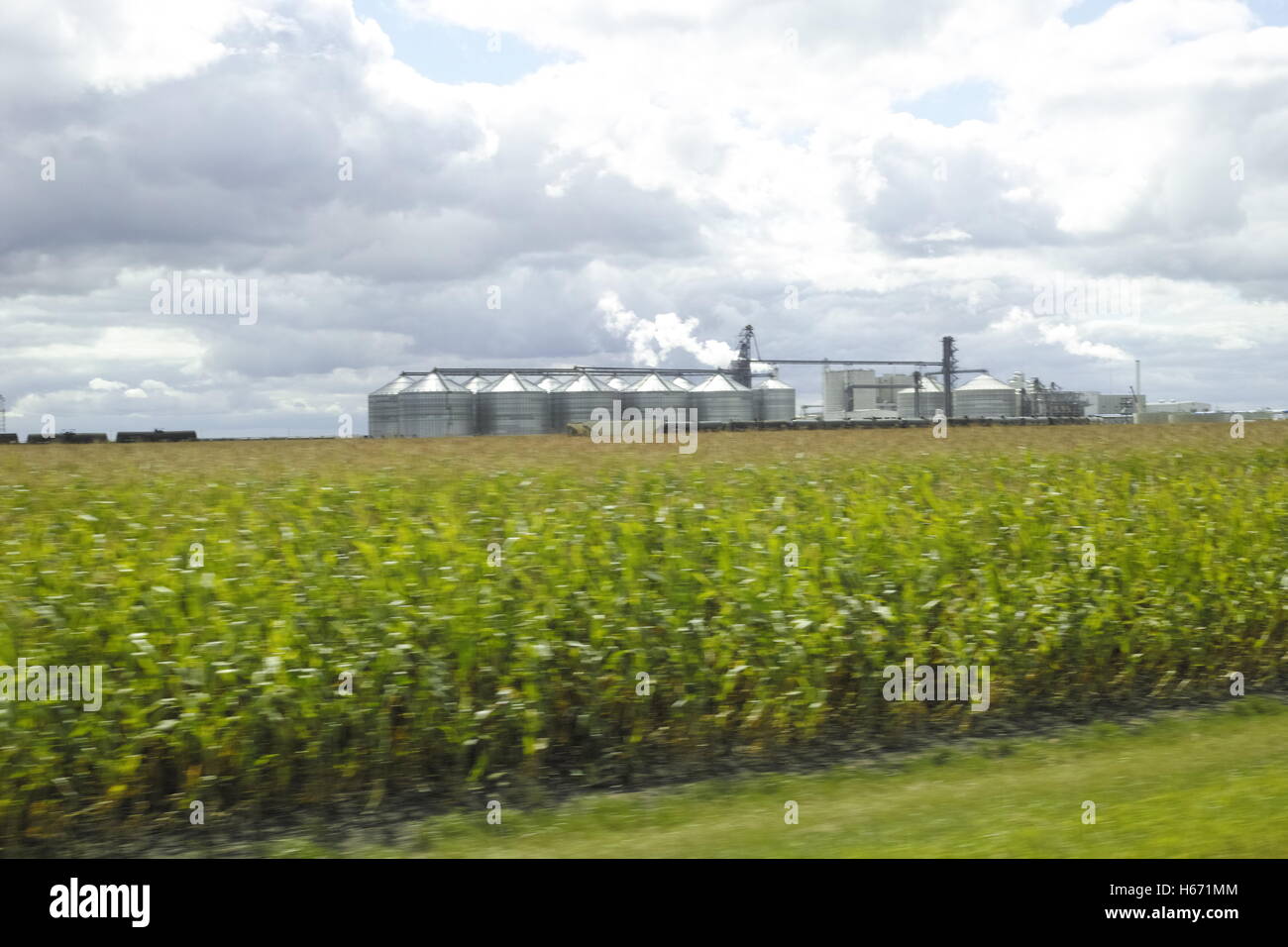 Sugar refinery production process hi-res stock photography and images ...