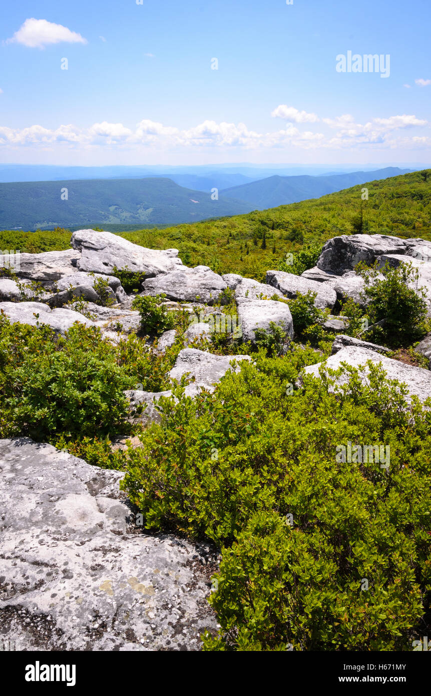 Bear Rocks Preserve Stock Photo - Alamy