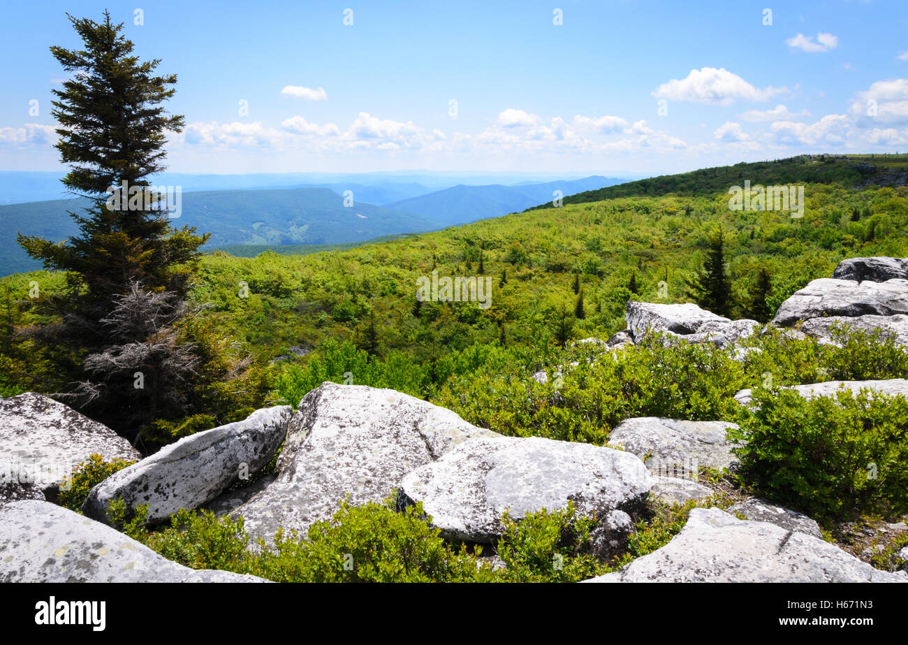 Bear Rocks Preserve Stock Photo - Alamy