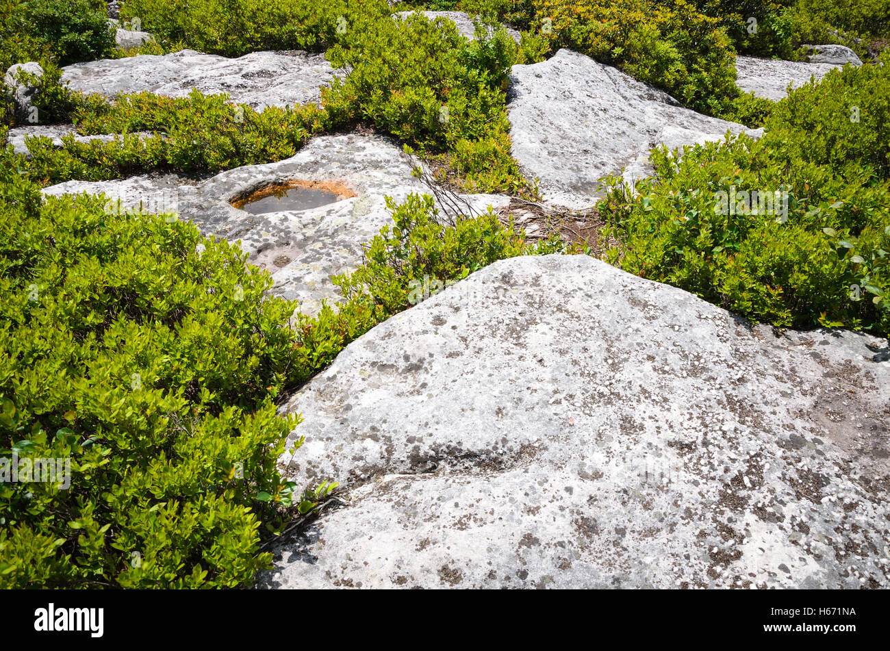 Bear Rocks Preserve Stock Photo - Alamy