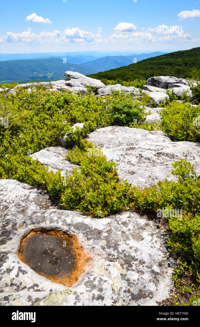 Bear Rocks Preserve Stock Photo - Alamy