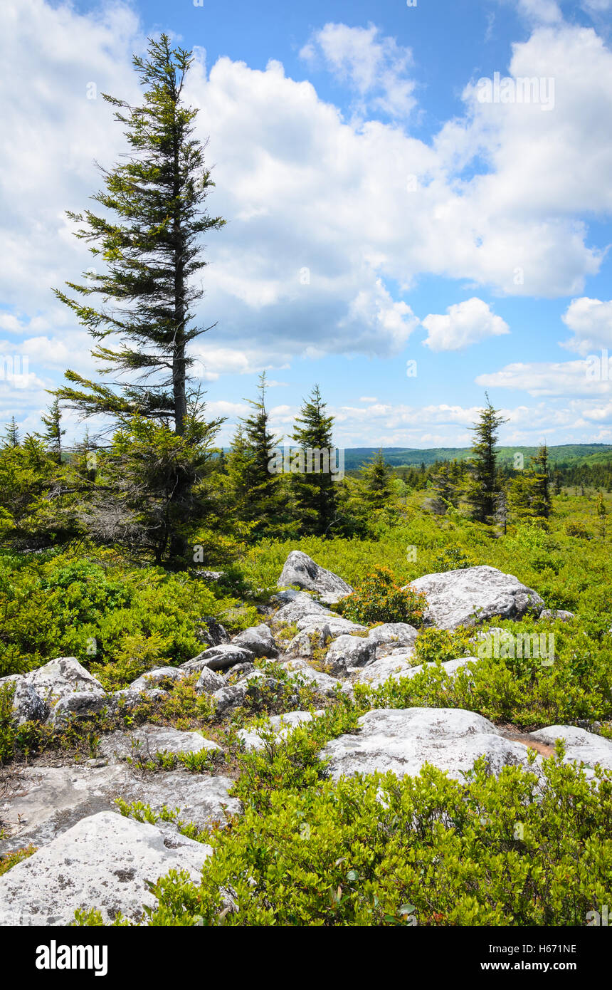 Bear Rocks Preserve Stock Photo - Alamy