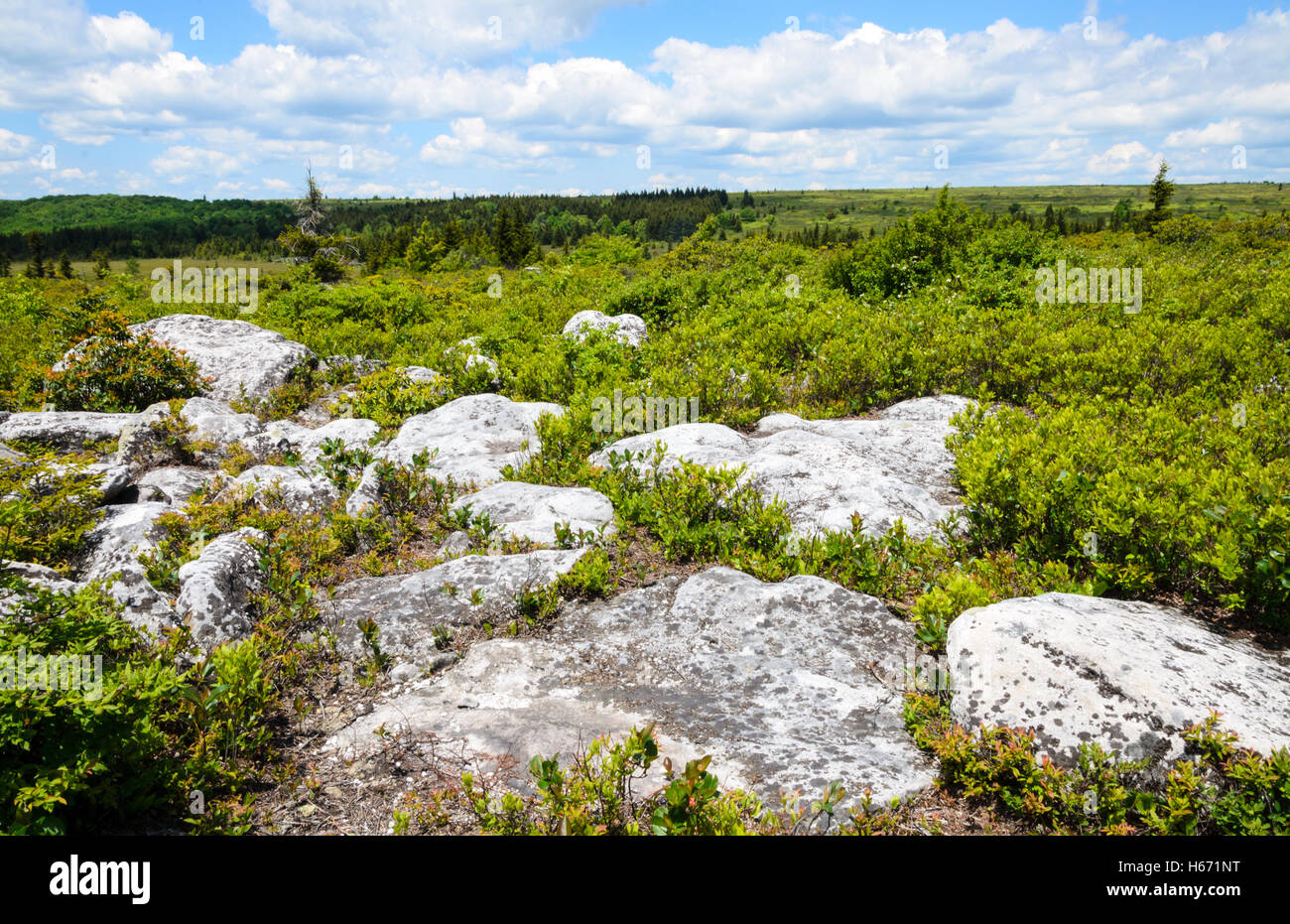 Bear Rocks Preserve Stock Photo - Alamy