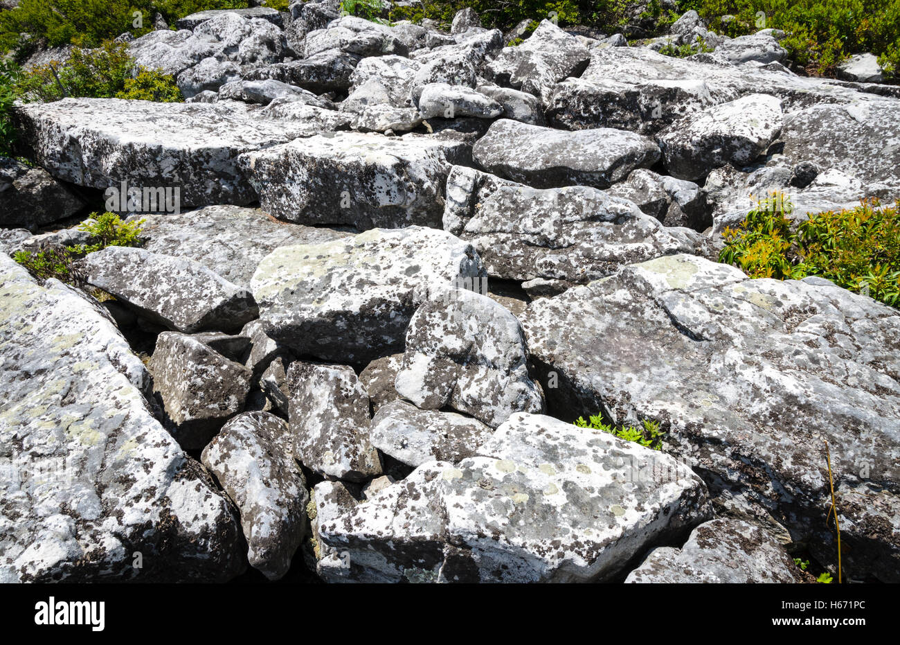 Bear Rocks Preserve Stock Photo - Alamy