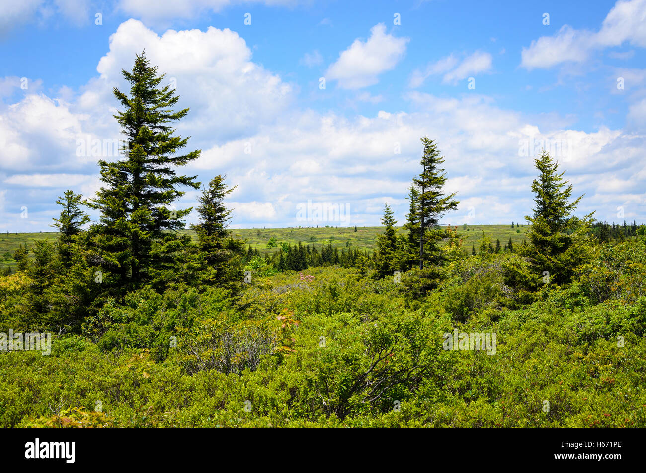 Bear Rocks Preserve Stock Photo - Alamy