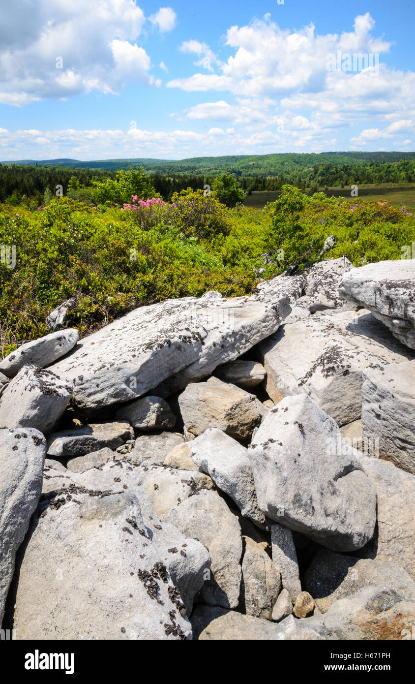 Bear Rocks Preserve Stock Photo - Alamy