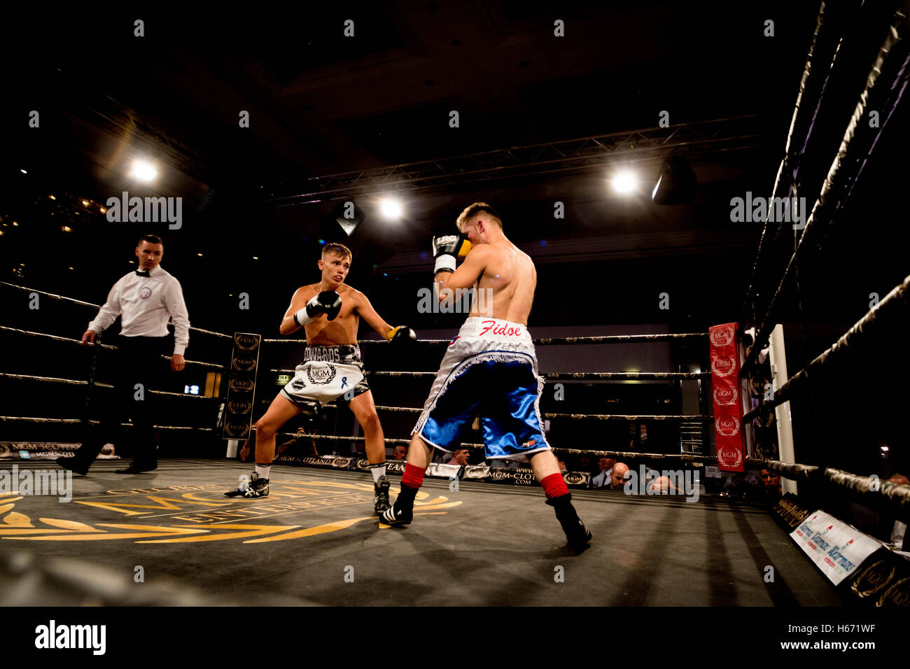 fight night boxing, ringside action Stock Photo - Alamy