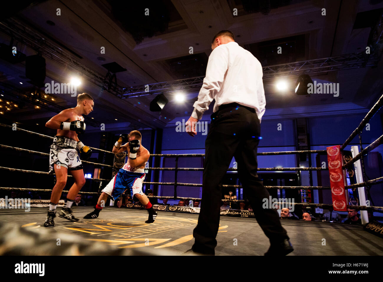 fight night boxing, ringside action Stock Photo - Alamy