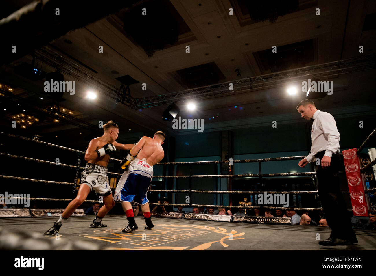 fight night boxing, ringside action Stock Photo - Alamy