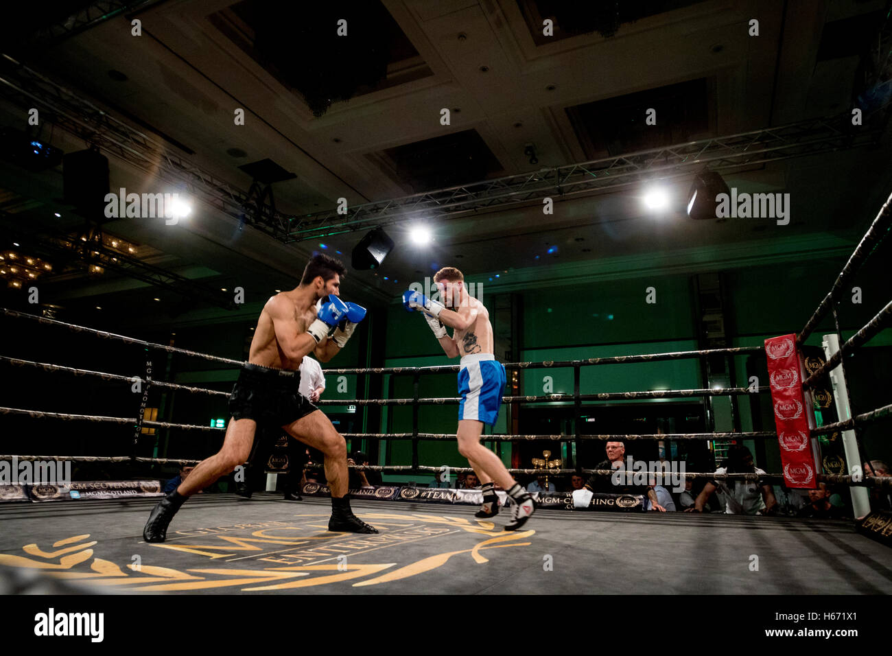 fight night boxing, ringside action Stock Photo - Alamy